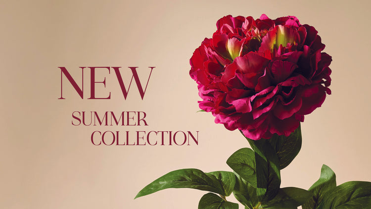 New Arrivals – Rogue Home