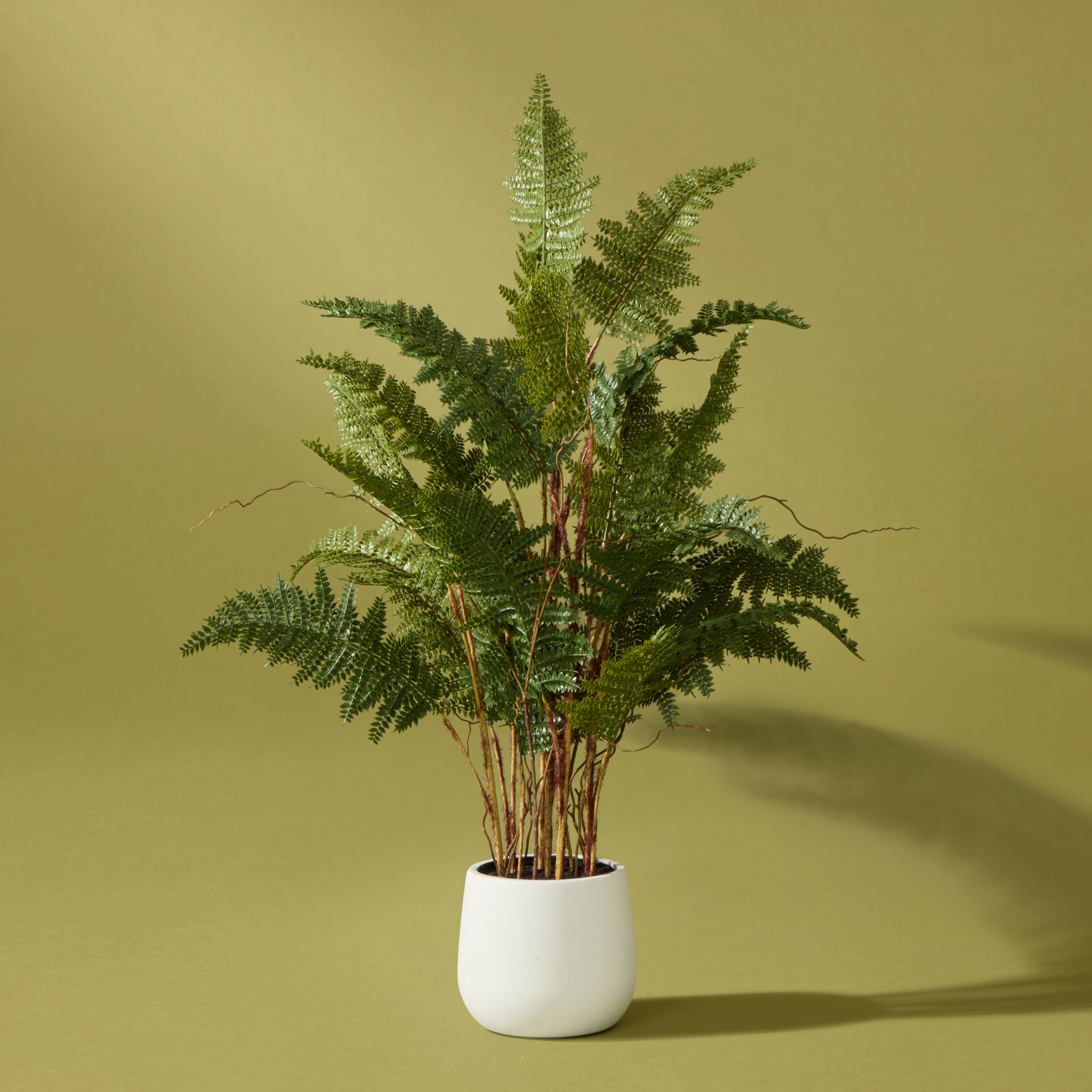 Artificial Mountain Wood Fern Pot | White - 84cm | Rogue – Rogue Home