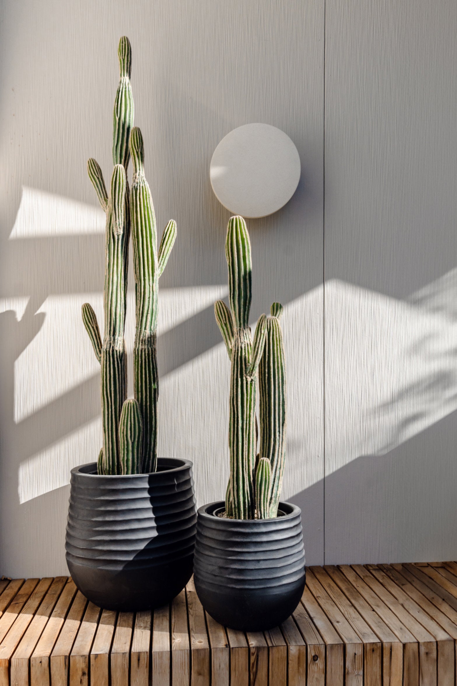 Artificial Saguaro Cactus in Garden Pot - 152cm I Rogue – Rogue Home