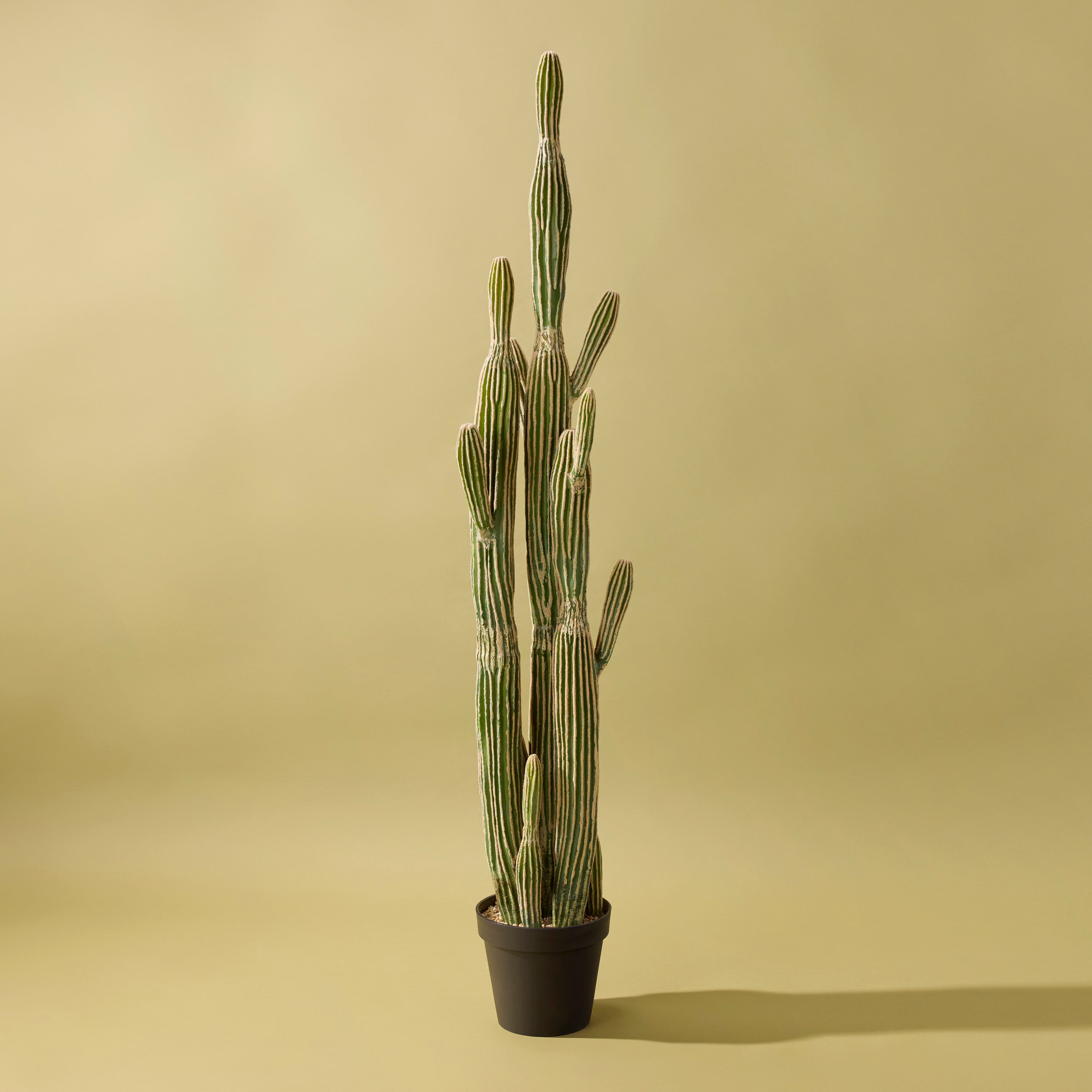 Artificial Saguaro Cactus in Garden Pot - 152cm I Rogue – Rogue Home